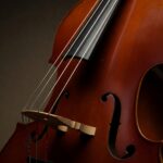 7 Best Double Bass Strings for Amazing Tone in 2025: The Ultimate Buyer ...