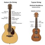 Guitar vs Ukulele: 7 Surprising Differences & How to Choose Your ...