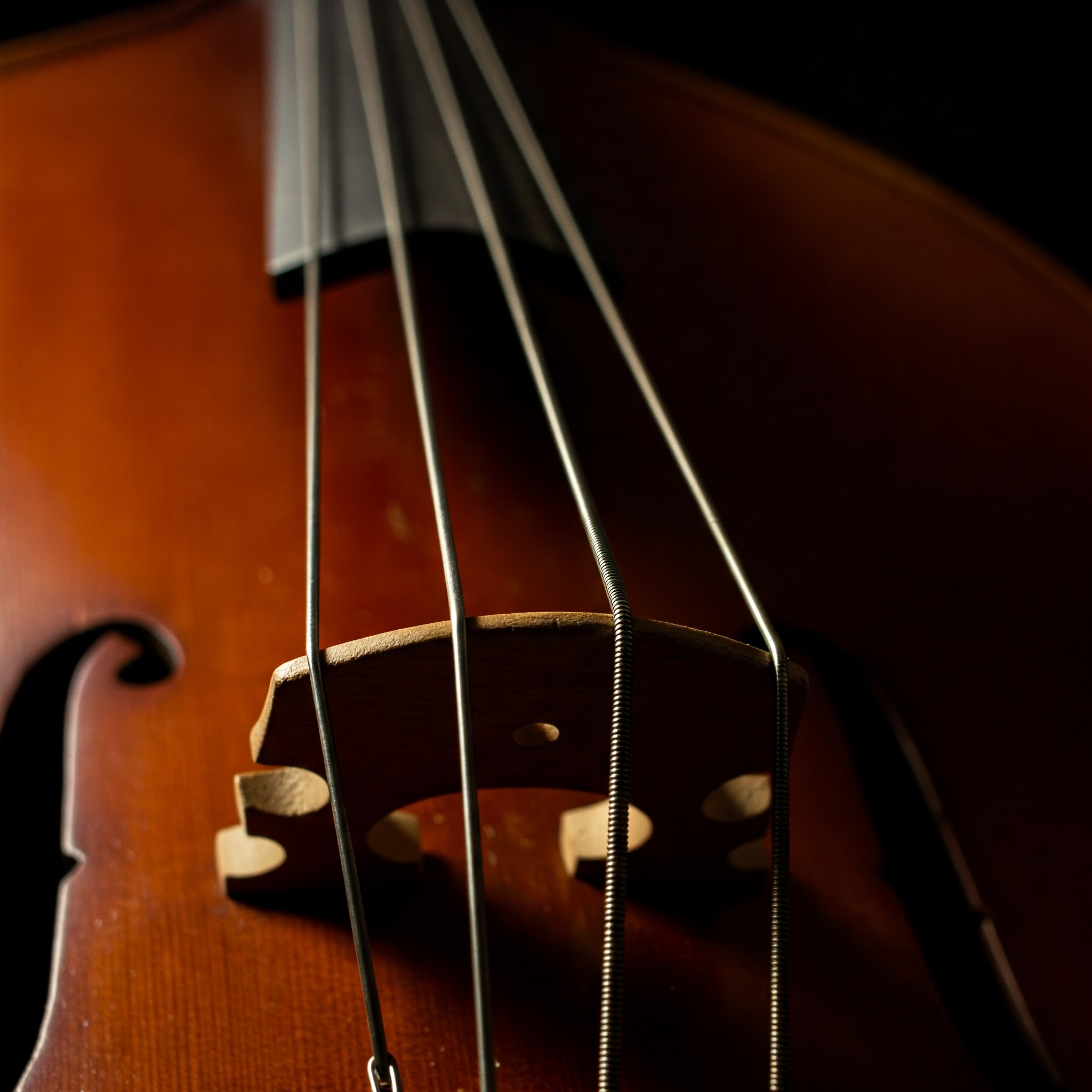 Upright Bass Strings: 7 Exceptional Options for a Powerful Sound ...