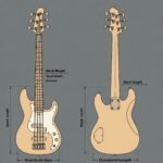 10 Best Short Scale 5 String Bass Options for Compact Powerhouse ...