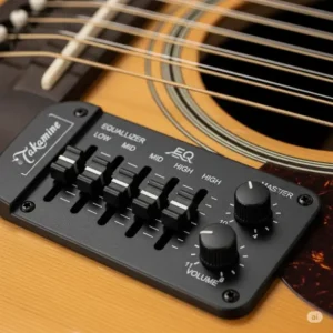 Takamine 12 String Guitar: 7 Best Models That Will Transform Your Sound ...